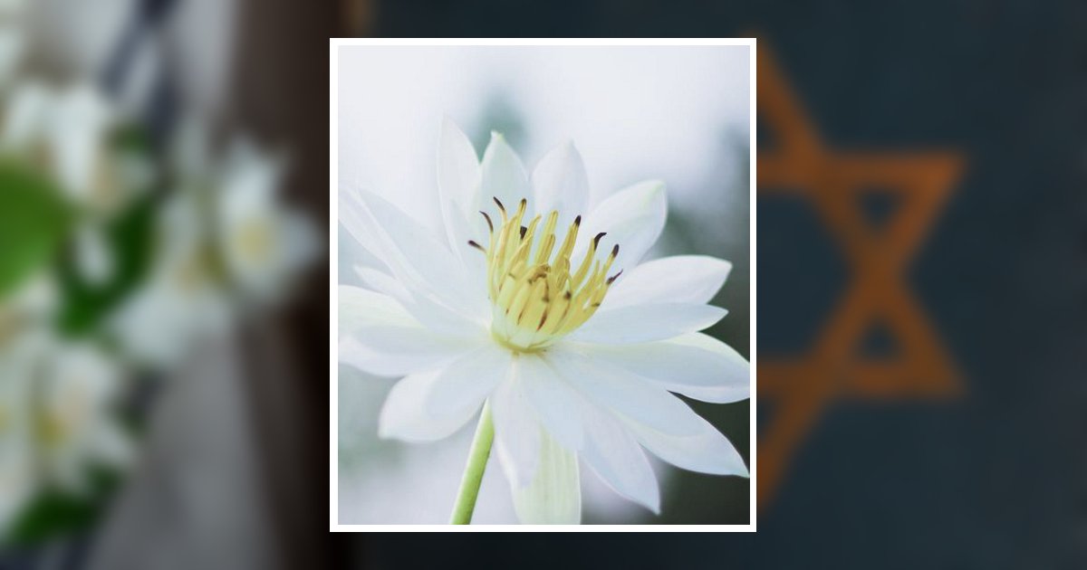 Ann Cooley Epstein Obituary November 22, 2025 - J Henry Stuhr