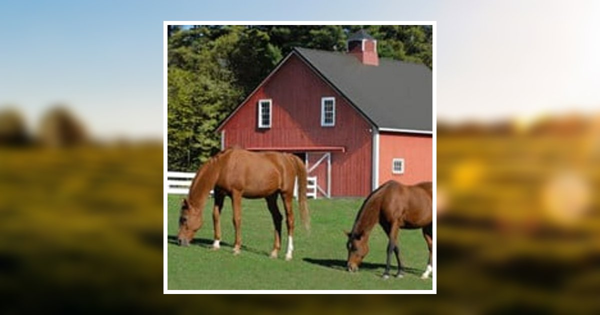 Haley J. Fetzer Obituary November 16, 2016 - Randle Dable Brisk Funeral ...