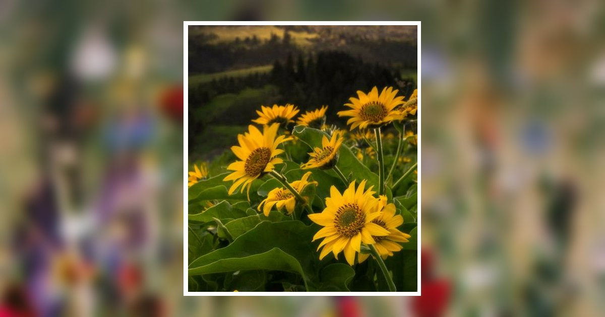 Janice Marie Norris Obituary November 6, 2024 - Wiederspahn-Radomsky ...