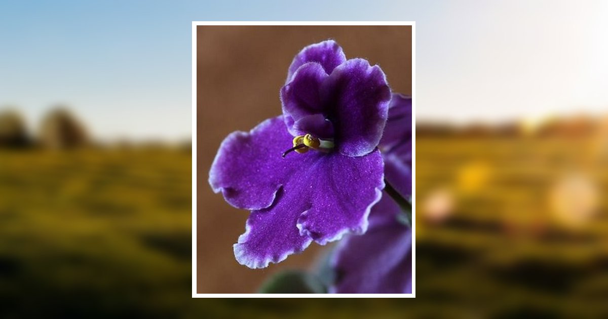 Bettie V. (Mason) Hardy Obituary November 16, 2021 - O'Leary Funeral ...