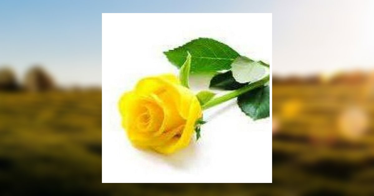 Fae Rose Harder Obituary September 14, 2022 - Martens Warman Funeral home