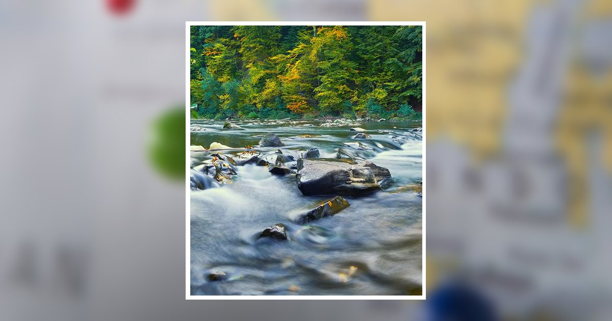 William Thomas Dooley Obituary January 4, 2026 - Reger Funeral Home