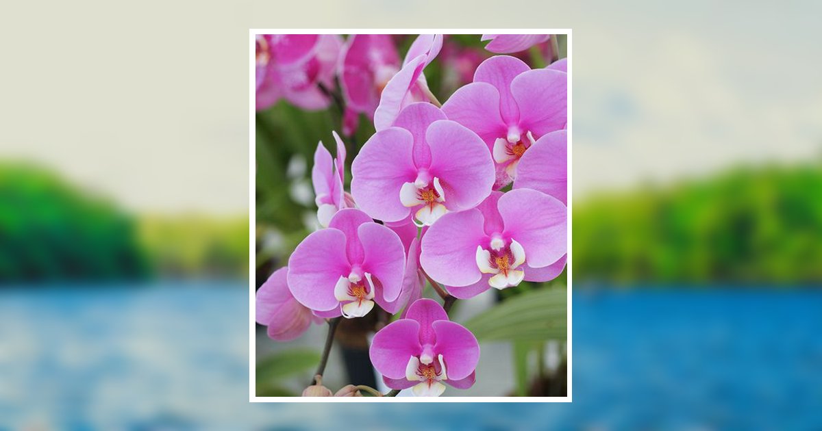 Donna A. Bound Steidle Obituary May 29, 2025 - James E. Humphrey ...