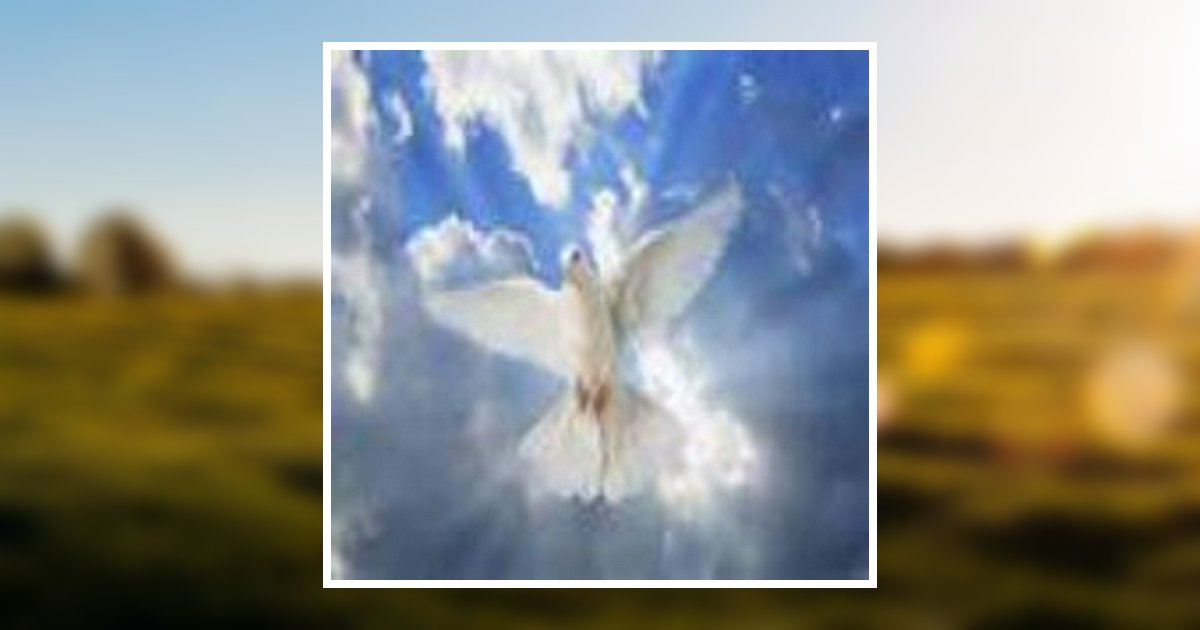 Patricia Ann Rowe Obituary - C.A. Reid Sr. Memorial Funeral Home