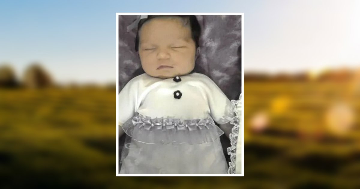 Marlee Willis Obituary October 29, 2022 - Caneyville Funeral Home