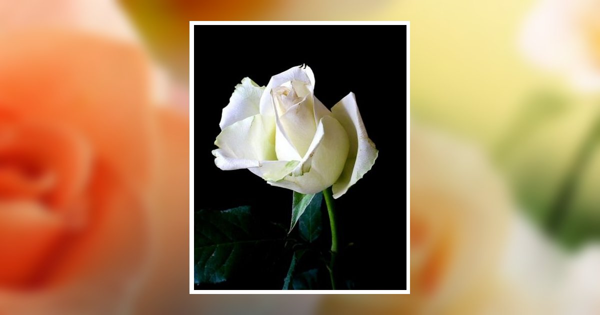 Melanie Dianne Rogers Godwin Obituary December 18, 2025 - Church ...