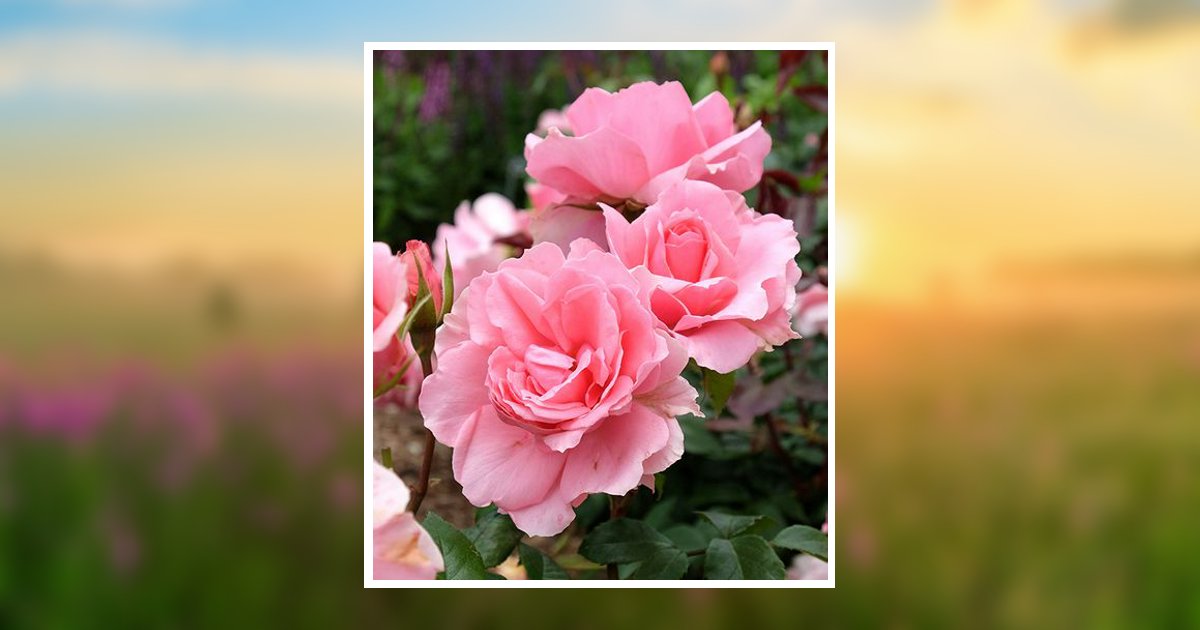 Ewa Jolanta Olexy Obituary March 5, 2025 - Chicagoland Cremation Options Ewa Jolanta Olexy Obituary March 5, 2025 - Chicagoland Cremation Options