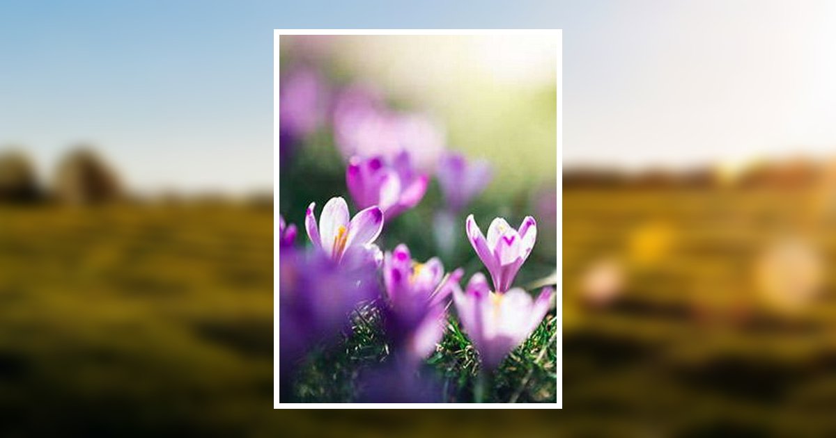 Susan Lackner Obituary May 10, 2011 - Applebee Funeral Home