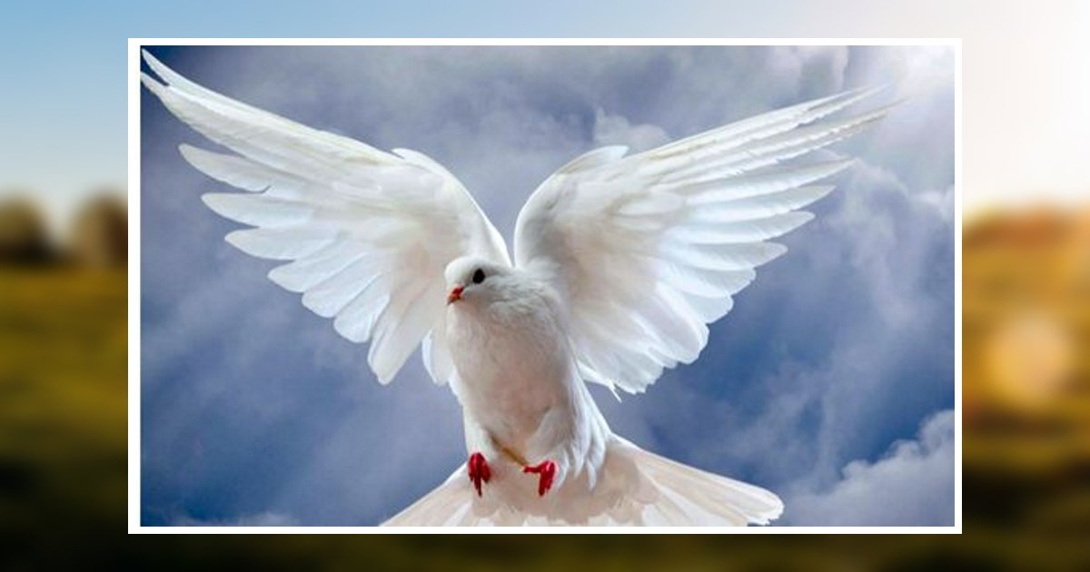 Brenda Justice Obituary - Eternal Rest Funeral Home