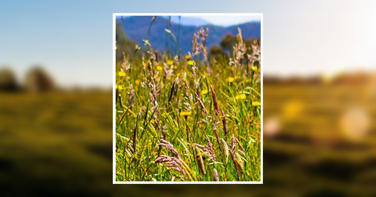 Will Ed Bandy Obituary April 10, 2019 - Crosier - Pearson Cleburne ...