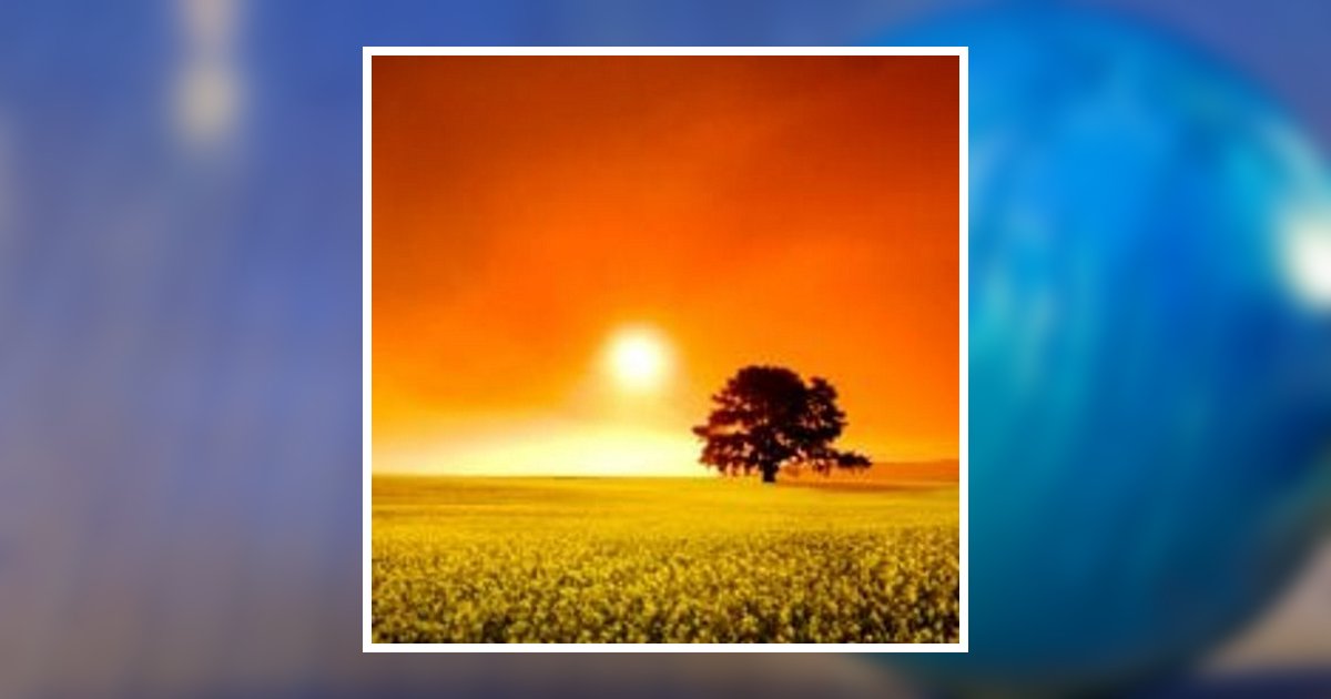 Daniel S. Krzystan Obituary March 23, 2022 - Hopkins Lawver Funeral ...