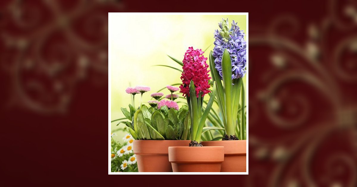 Susan Carol Talbert Obituary January 13, 2025 - Carolina Memorial Park