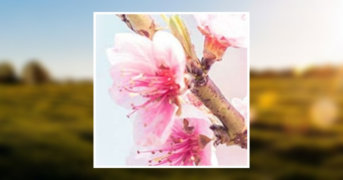 Sonya Gaye Cherry Obituary March 3, 2017 - Sumner Funeral and Cremation