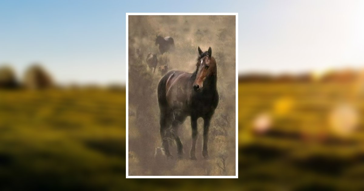 Jack E. Benner Obituary October 6, 2014 - Weigel Funeral Home