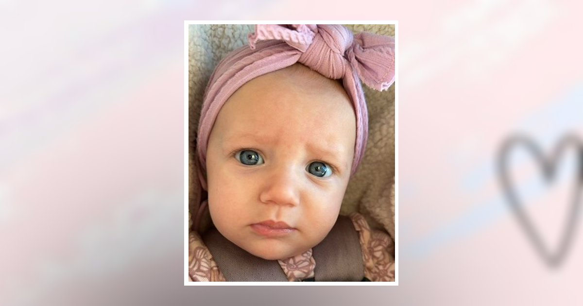 Hadley Ann Parks Obituary February 17, 2025 - Moody Funeral Services