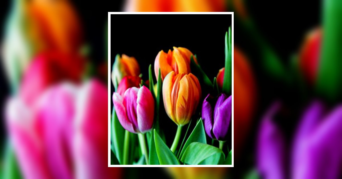 Barbara Ann (Babin) Rohr Obituary September 6, 2020 - Adams Funeral Home
